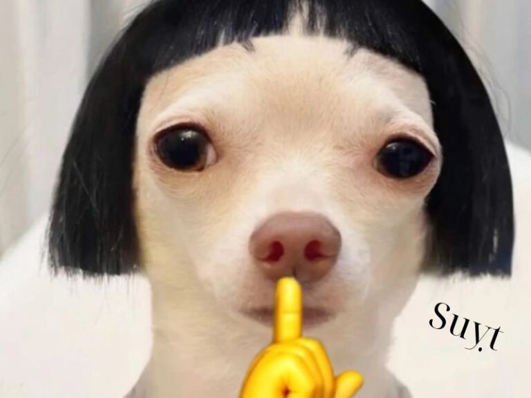 Meme Suỵt - 99+ Ảnh Chế Shush Viral 🤫