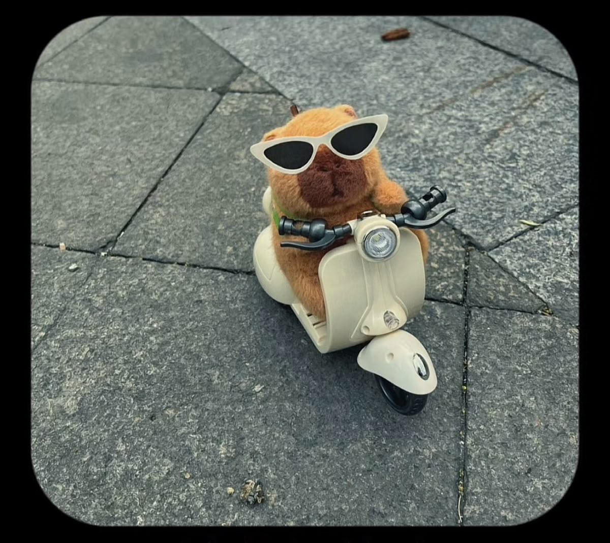 Capybara Meme - 99+ Ảnh Chuột Lang Ngơ Ngác 🦫