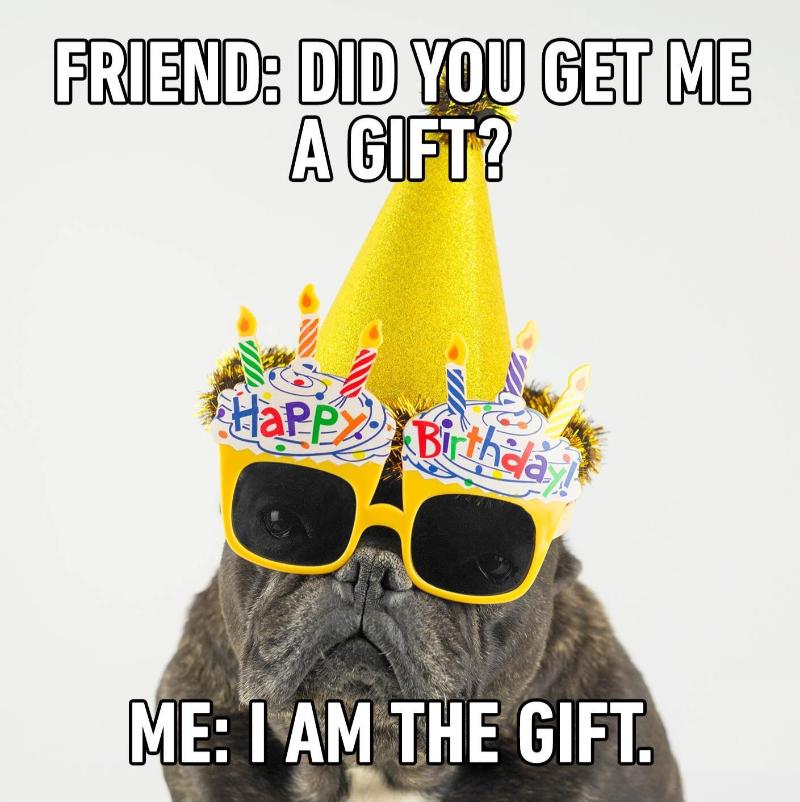 Meme Chúc Mừng Sinh Nhật - 99+ Ảnh HBD Vui 🎂