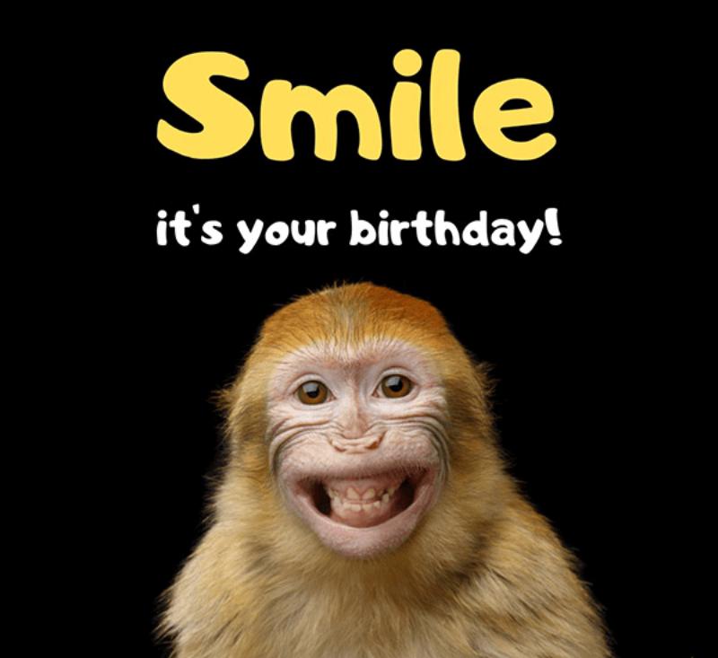 Meme Chúc Mừng Sinh Nhật - 99+ Ảnh HBD Vui 🎂