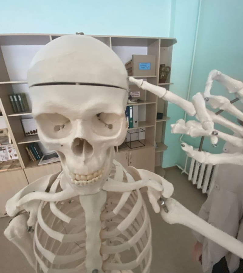 Skeleton Meme - 99+ Ảnh Chế Skull Viral 💀
