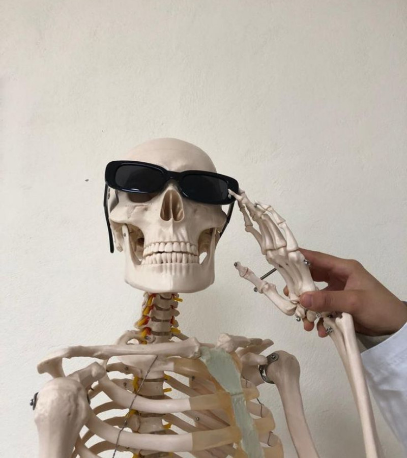 Skeleton Meme - 99+ Ảnh Chế Skull Viral 💀