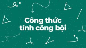 Công thức tính công bội: Cách tính cấp số nhân chi tiết