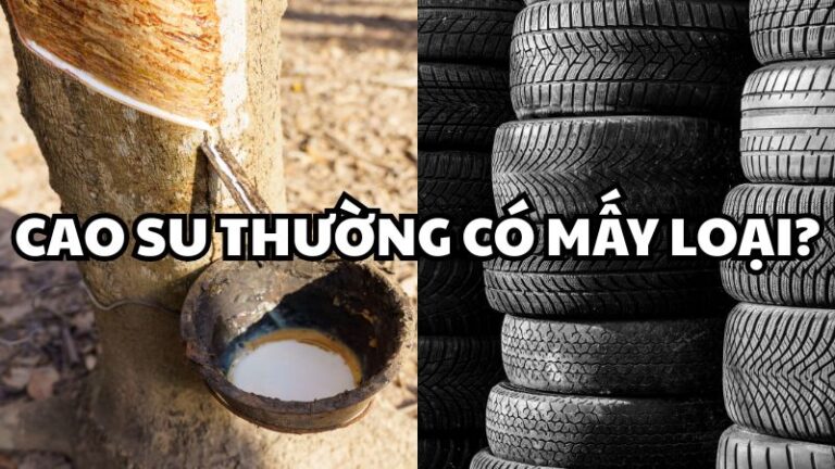 Cao su thường có mấy loại? Phân loại và đặc điểm đủ